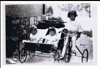 Broderick Family Tree