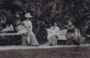 MacCallum Family Tree